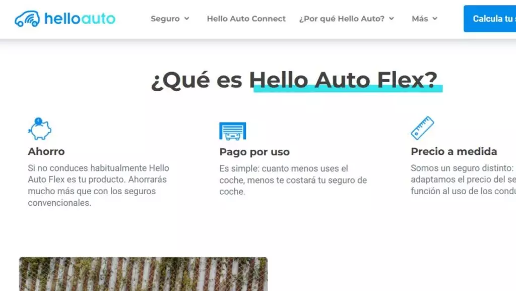 Sicheres Pay-per-Use Hello Auto Flex