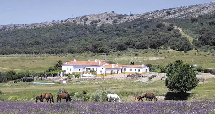 Malnova Palaco de Corchuelas