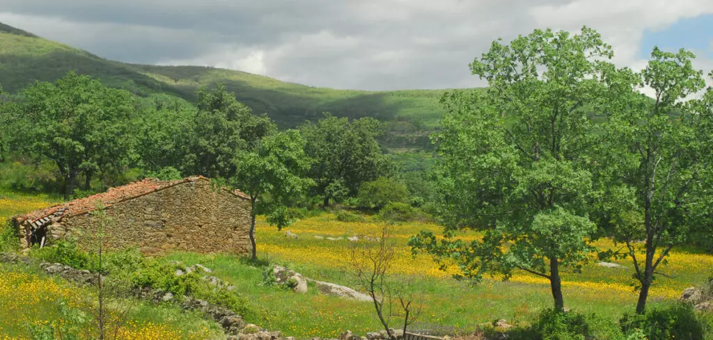 çirkin yaratık