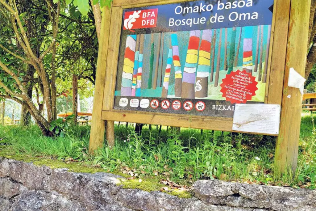 03 Oma Ibarrola Forest 02