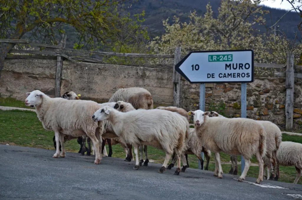 Iregua Valley