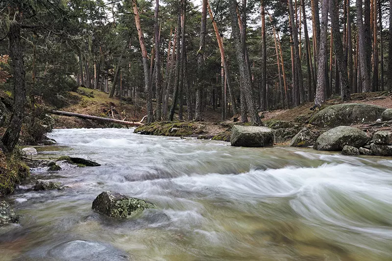 адкрыццёpnguadarrama