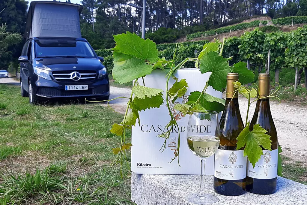 OU-402 ਦਾ ਜਾਦੂ, Ourense Route, Mercedes Benz Marco Polo, Casar de Vide Winery