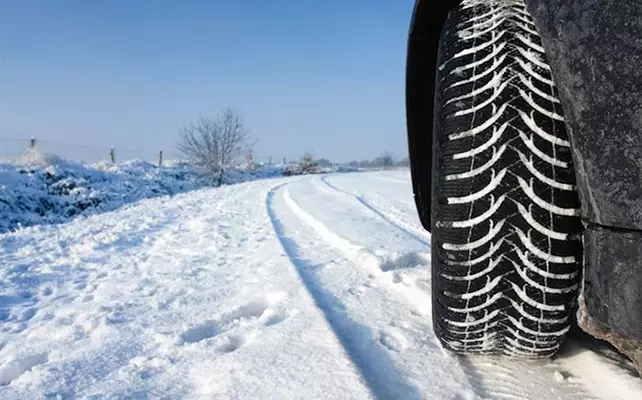 Talverehvid või ketid