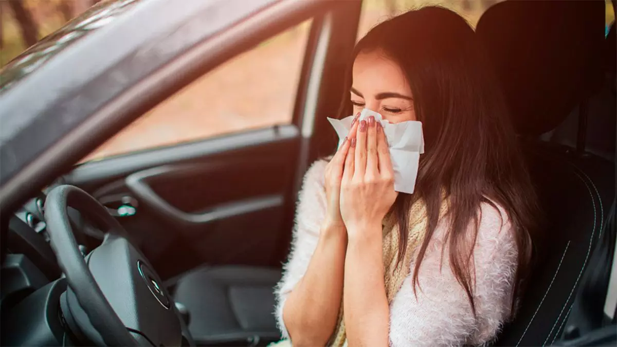 Riziko nehody se u řidičů, kteří trpí nějakým typem alergie, zvyšuje o 30 %.