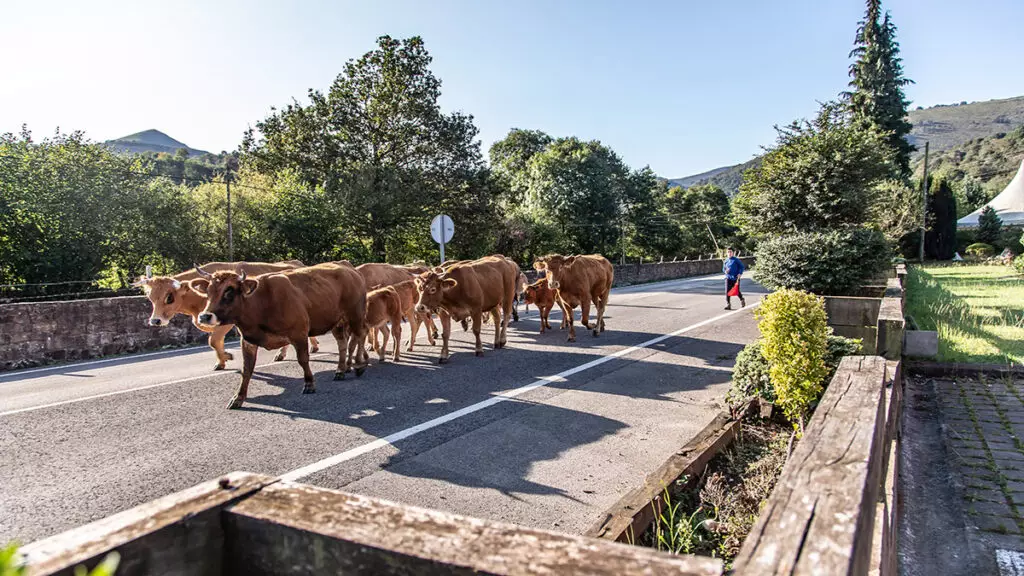 Inzira ya Cantabria