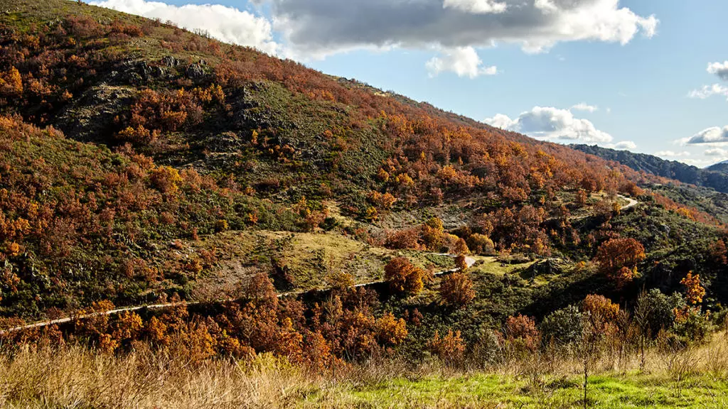 Ruta EVO Cupra Serra Nord