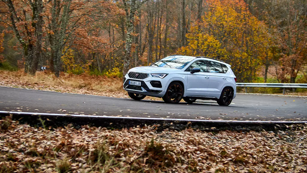 Cupra Sierra North 17