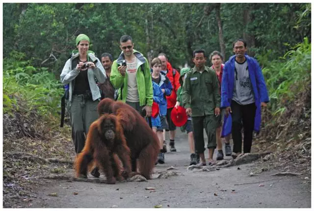 bali üzerinden yol