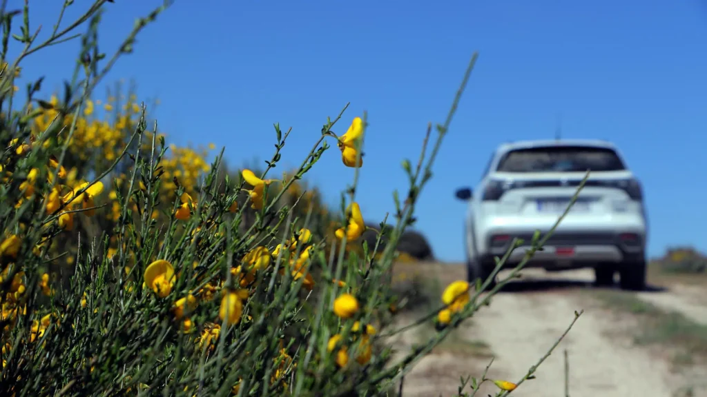 تست جاده سوزوکی S-Cross Arribes del Duero