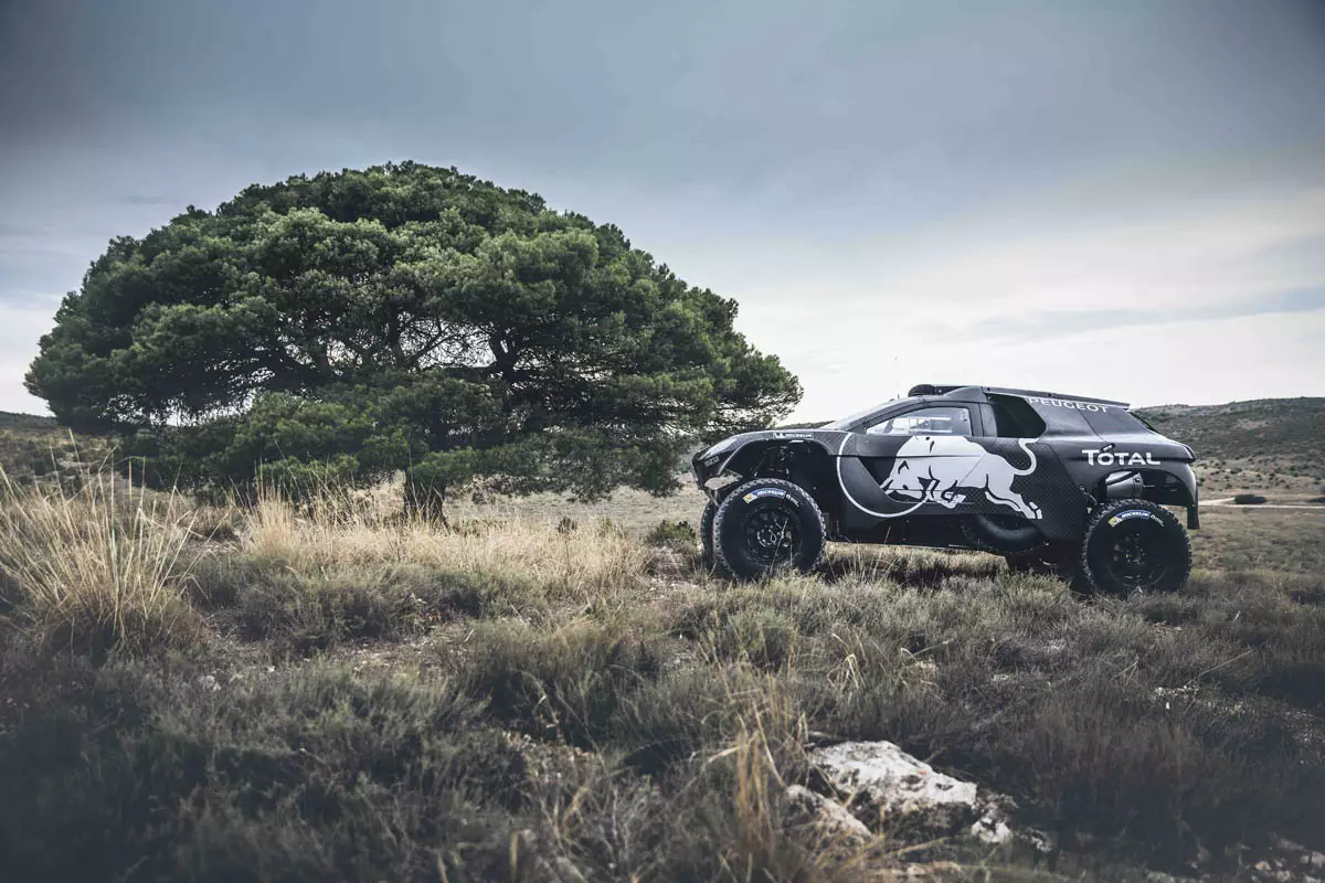 Peugeot 2008 DKR 2016, hlið