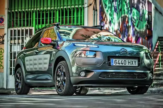 c4cactus nyeem 14