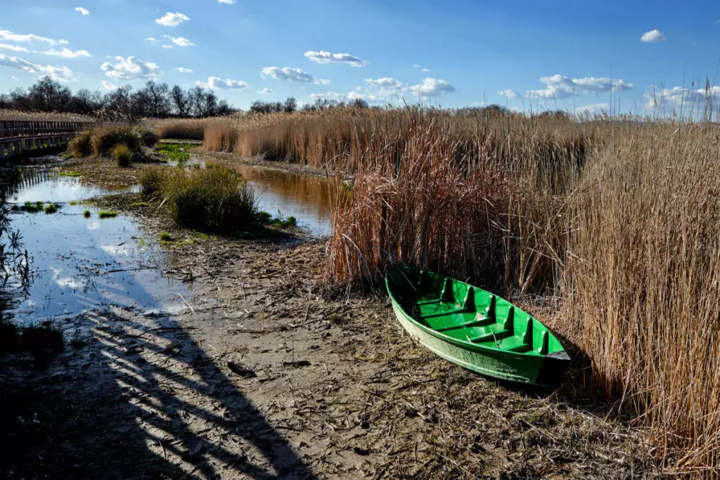 Las Tablas de Daimiel milli seýilgähi