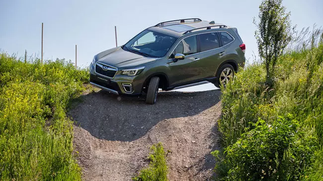 subaru forester polje 1