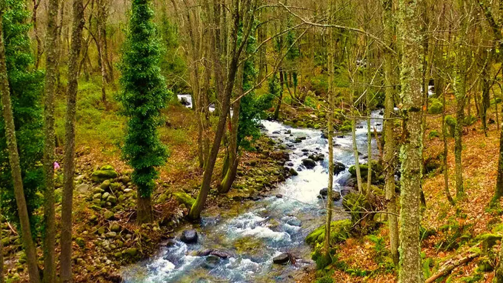 Ambroz Valley